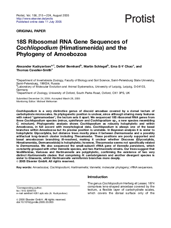 (PDF) 18S Ribosomal RNA Gene Sequences of (Himatismenida) and the ...