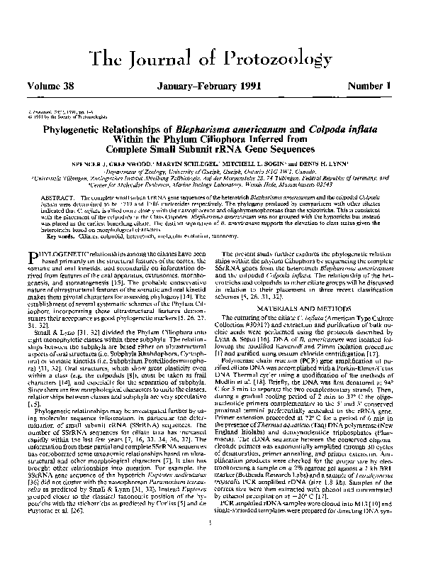 (PDF) Phylogenetic Relationships of Blepharisma Americanum and Colpoda ...