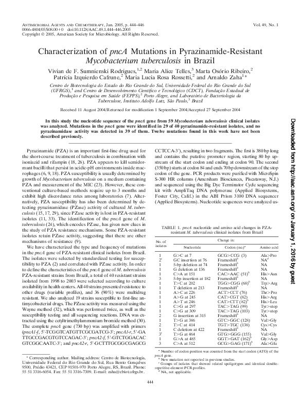 (PDF) Characterization of pncA Mutations in Pyrazinamide-Resistant ...
