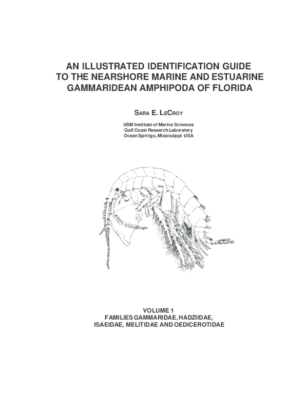 (PDF) Two new Mediterranean Stenothoe (Crustacea, Amphipoda) from the ...