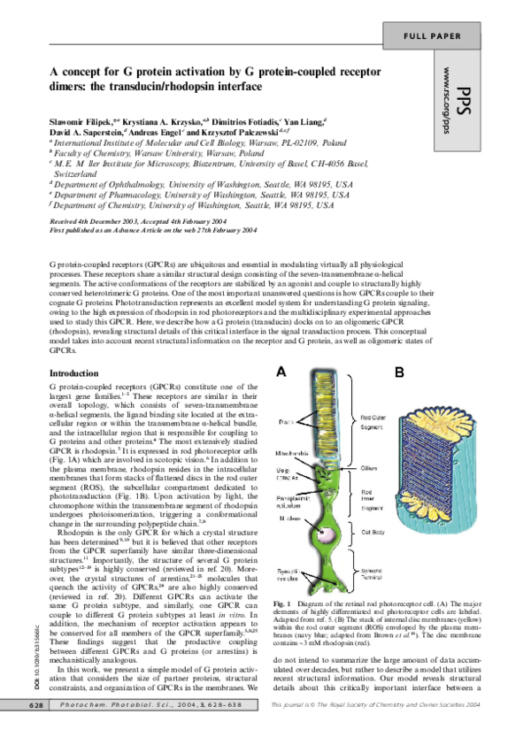 (PDF) A concept for G protein activation by G protein-coupled receptor ...
