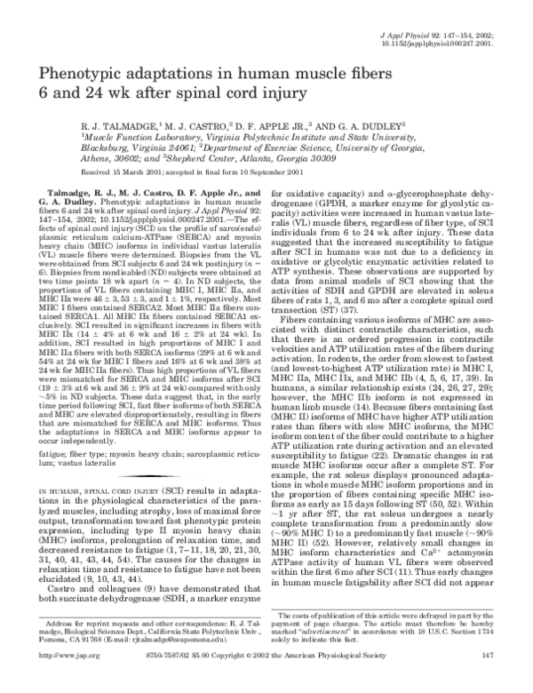 (PDF) Phenotypic adaptations in human muscle fibers 6 and 24 wk after ...