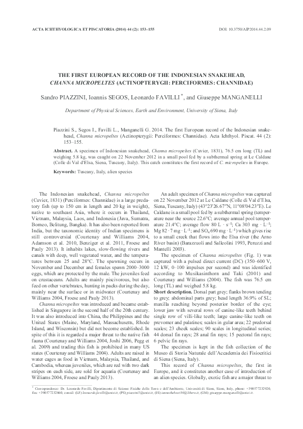 (PDF) The first European record of the Indonesian snakehead, Channa ...
