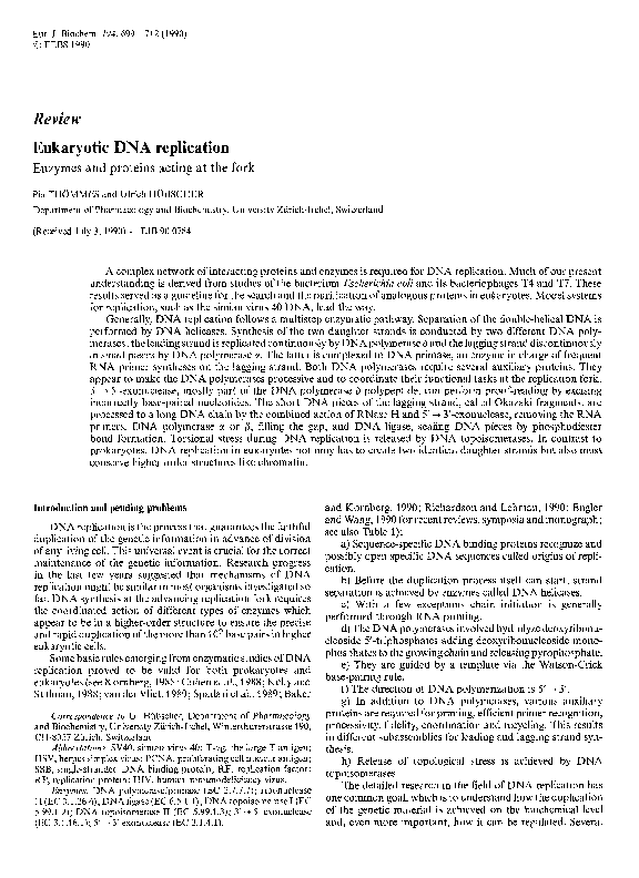 (PDF) Eukaryotic DNA replication. Enzymes and proteins acting at the fork