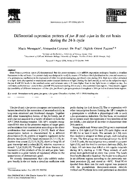 (PDF) Differential expression pattern of jun B and c-jun in the rat brain during the 24-h cycle