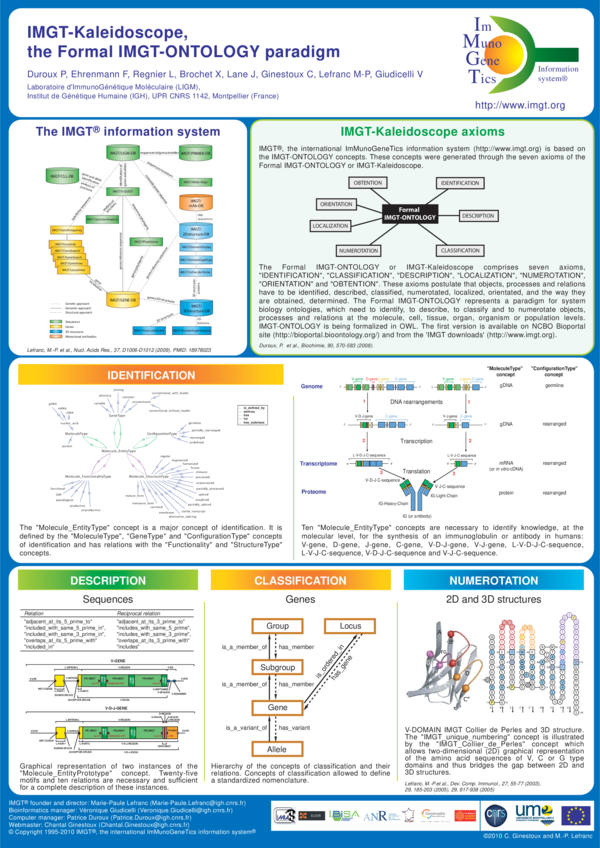 (PDF) IMGT-Kaleidoscope, the formal IMGT-ONTOLOGY paradigm