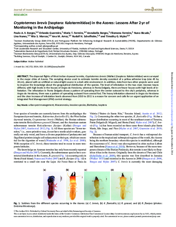 (PDF) Cryptotermes brevis in the Azores: lessons after 2 yr of ...