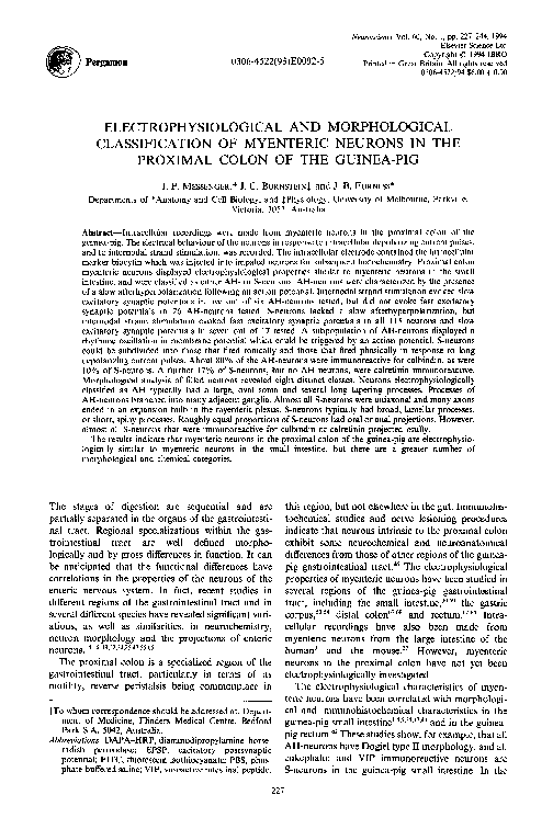 (PDF) Electrophysiological and morphological classification of ...