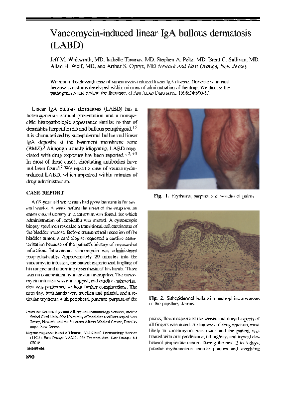 (PDF) Vancomycin-induced linear IgA bullous dermatosis (LABD ...