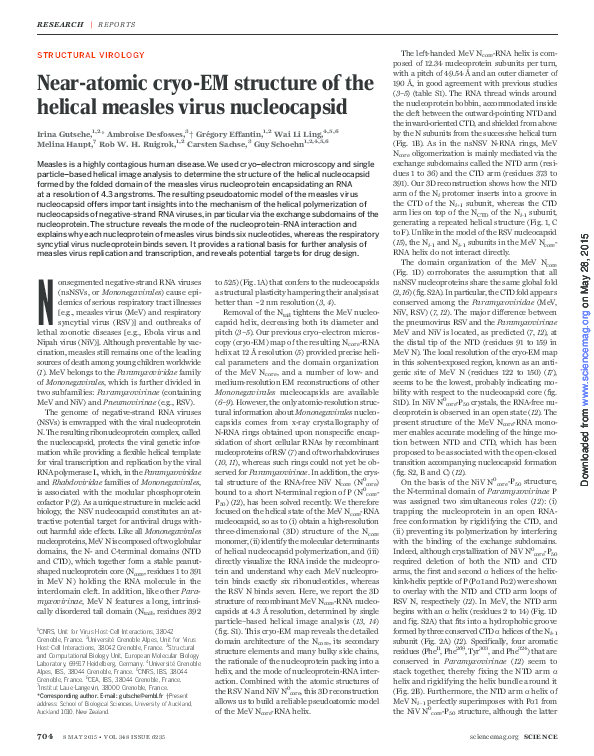Pdf Near Atomic Cryo Em Structure Of The Helical Measles Virus Nucleocapsid 