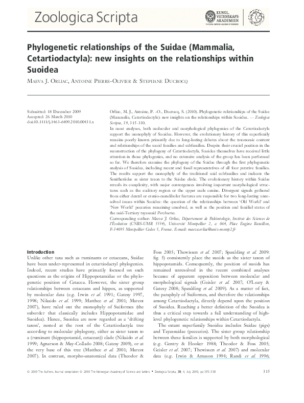 (PDF) Phylogenetic relationships of the Suidae (Mammalia ...