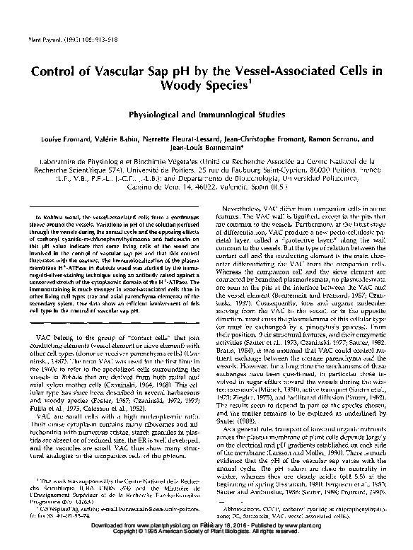 (PDF) Control of Vascular Sap pH by the Vessel-Associated Cells in ...