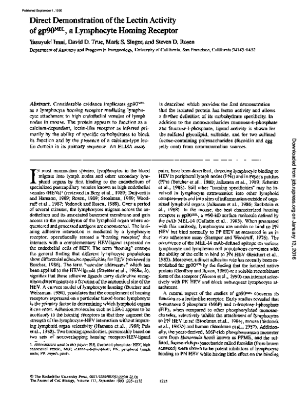 Le préceptorat : une des solutions?