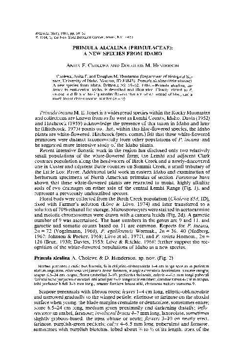 (PDF) Primula alcalina (Primulaceae): A New Species from Idaho