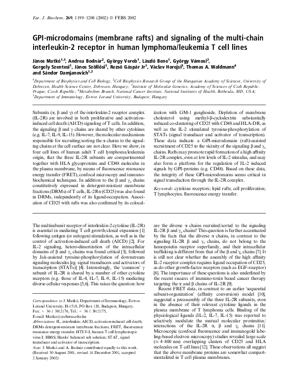 (PDF) GPI-microdomains (membrane rafts) and signaling of the multi ...