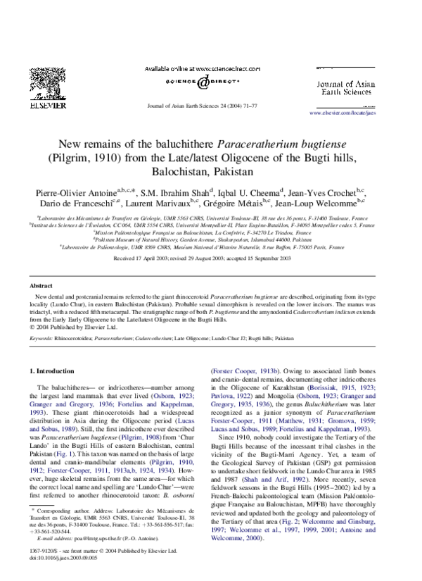 (PDF) First record of paleogene elephantoidea (Mammalia, Proboscidea ...