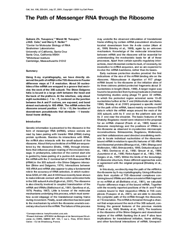 (PDF) The Path of Messenger RNA through the Ribosome