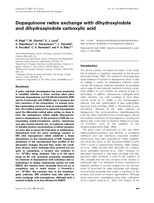 (PDF) Dopaquinone redox exchange with dihydroxyindole and ...