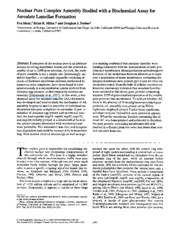 (PDF) Nuclear pore complex assembly studied with a biochemical assay ...