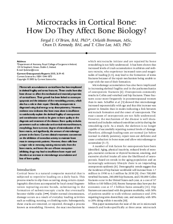 (PDF) Microcracks in cortical bone: How do they affect bone biology?