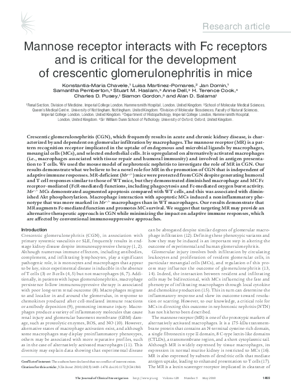 (PDF) Mannose receptor interacts with Fc receptors and is critical for ...