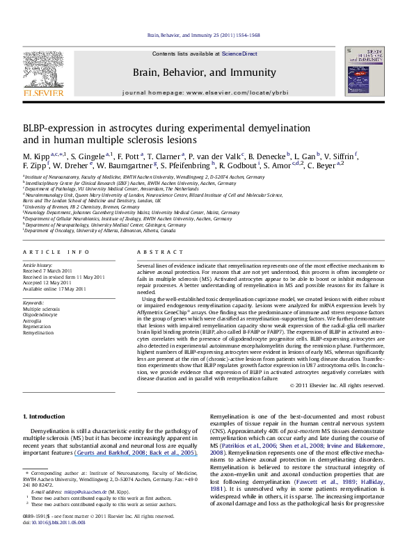 (PDF) BLBP-expression in astrocytes during experimental demyelination ...