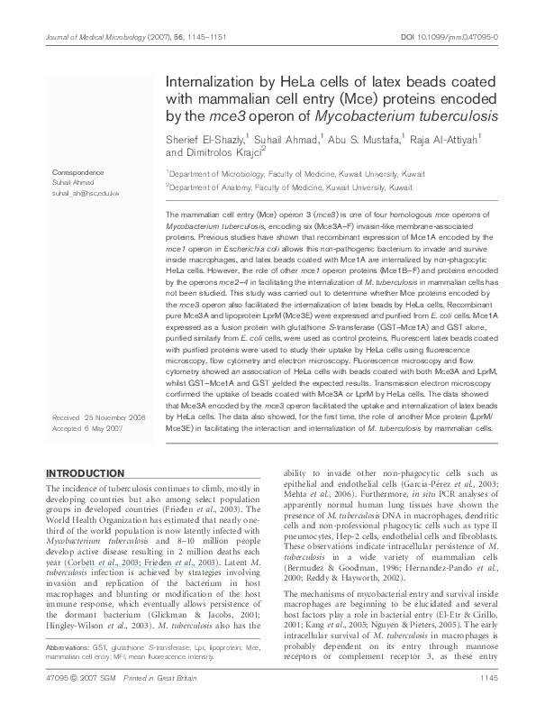 (PDF) Internalization by HeLa cells of latex beads coated with mammalian cell entry (Mce ...