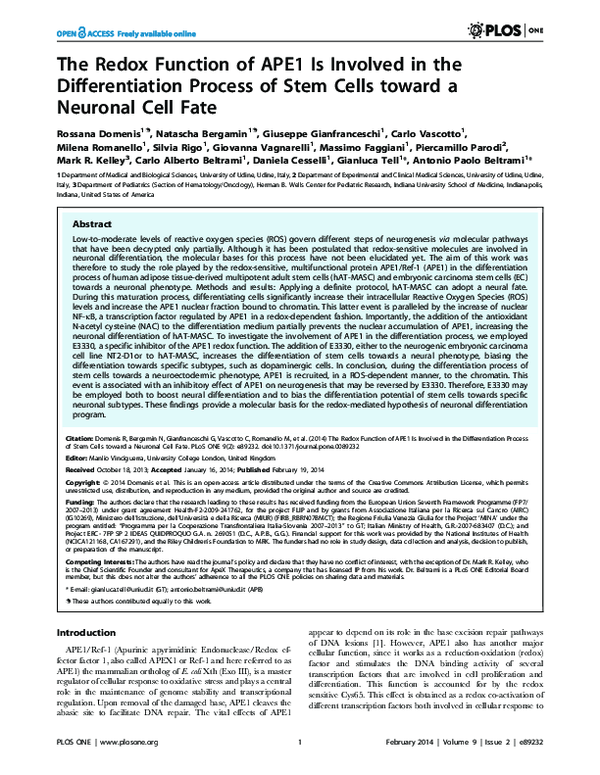 (PDF) The Redox Function of APE1 Is Involved in the Differentiation ...