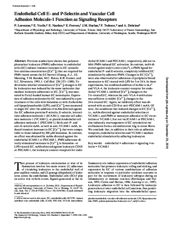 Pdf Endothelial Cell E And P Selectin And Vascular Cell Adhesion Molecule 1 Function As