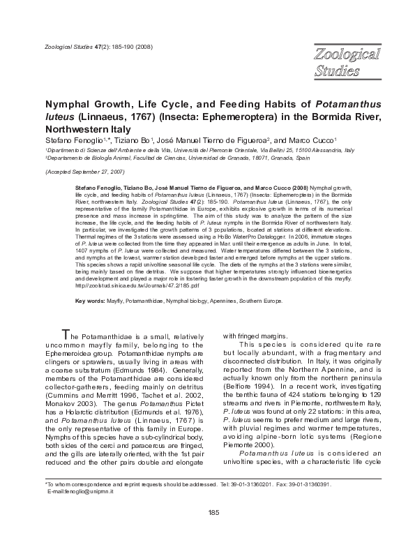 (PDF) Nymphal growth, life cycle, and feeding habits of Potamanthus ...
