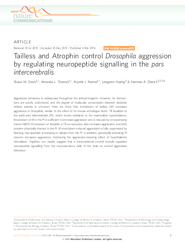 (PDF) Tailless and Atrophin control Drosophila aggression by regulating ...