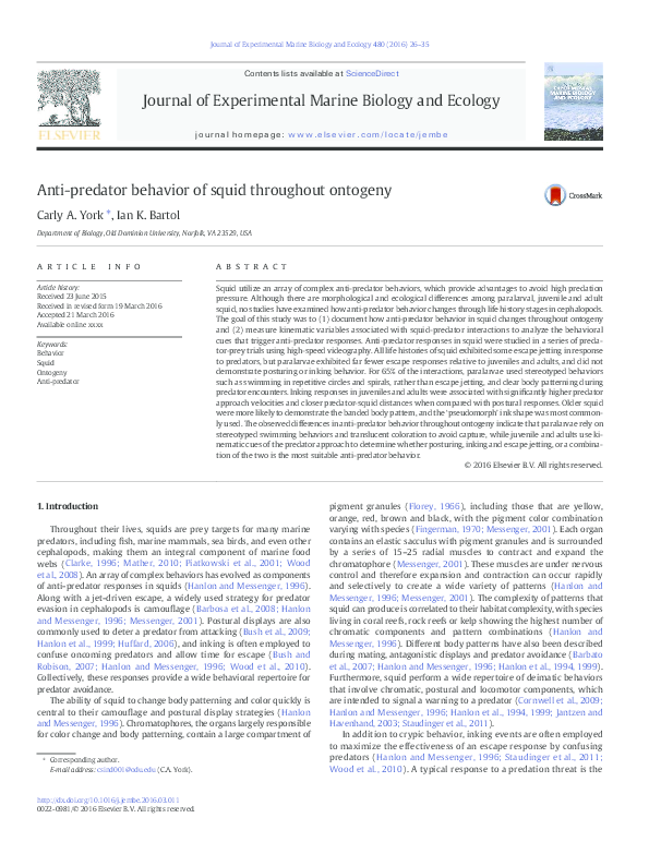 (PDF) Anti-predator behavior of squid throughout ontogeny