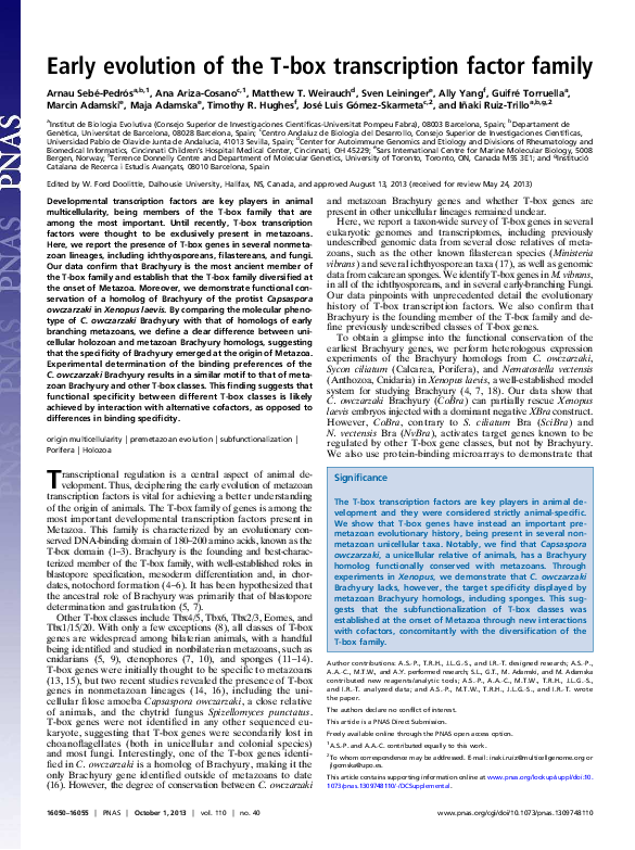 (PDF) Early evolution of the T-box transcription factor family
