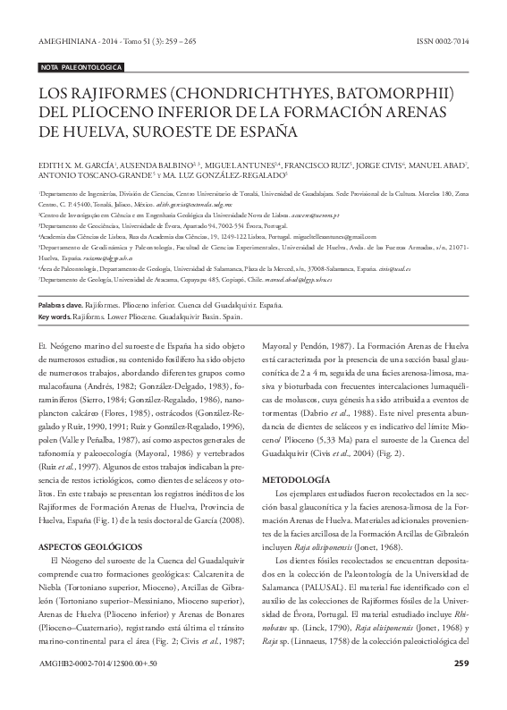 (PDF) LOS RAJIFORMES (CHONDRICHTHYES, BATOMORPHII) DEL PLIOCENO ...