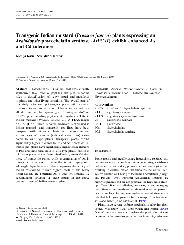 (PDF) Transgenic Indian mustard (Brassica juncea) plants expressing an ...
