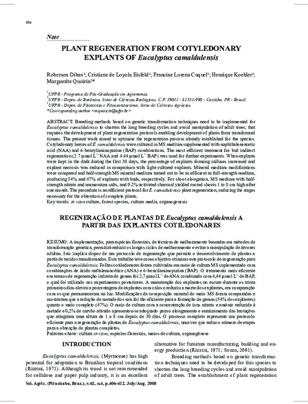 Pdf Plant Regeneration From Cotyledonary Explants Of Eucalyptus