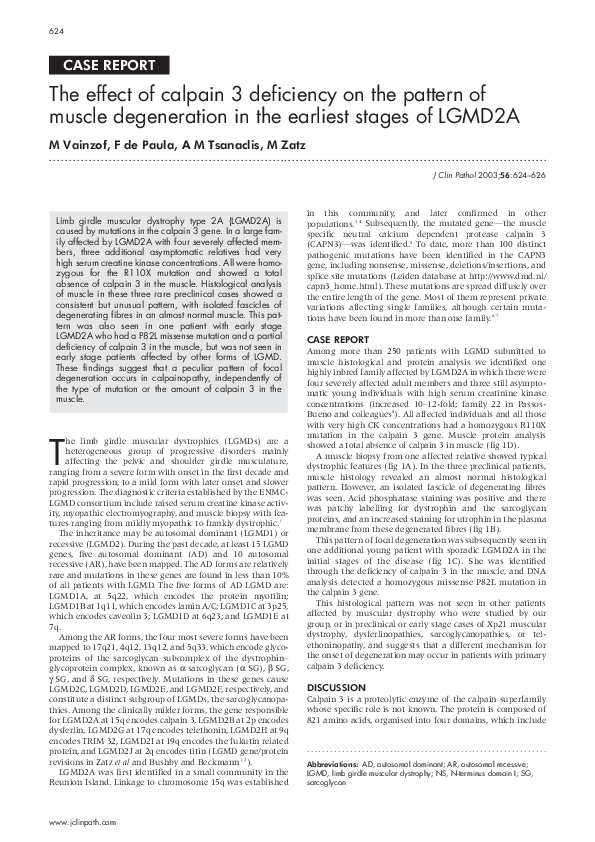 (PDF) The effect of calpain 3 deficiency on the pattern of muscle ...