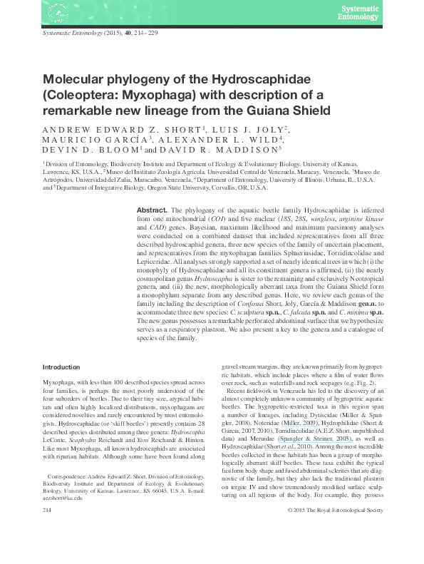 (PDF) Molecular phylogeny of the Hydroscaphidae (Coleoptera: Myxophaga ...