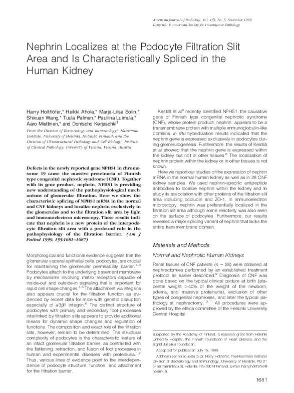 (PDF) Nephrin Localizes at the Podocyte Filtration Slit Area and Is ...