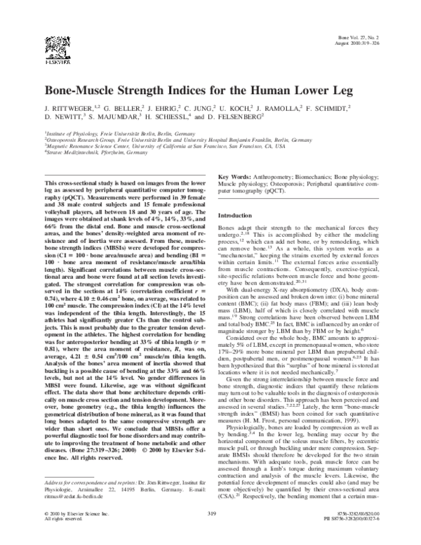 (PDF) Bone-muscle strength indices for the human lower leg