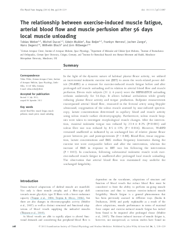 (PDF) The relationship between exercise-induced muscle fatigue ...