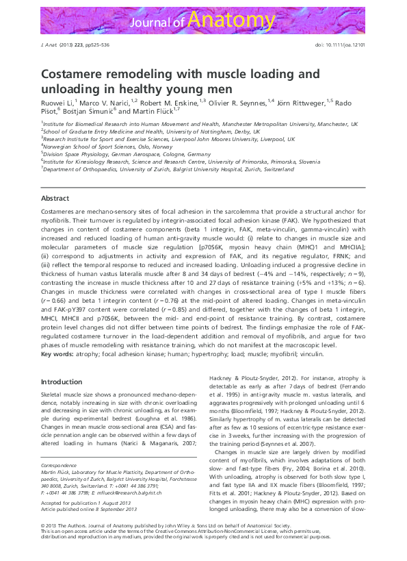 (PDF) Costamere remodeling with muscle loading and unloading in healthy ...
