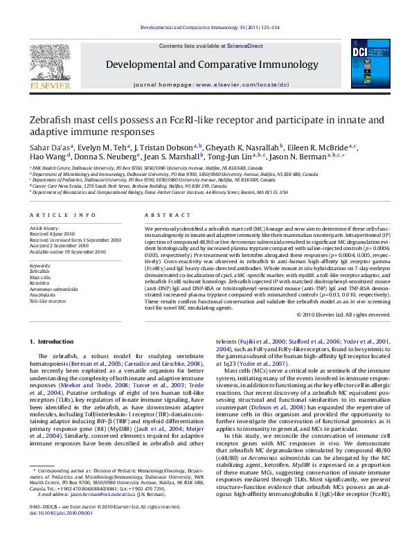 Zebrafish mast cells possess an FcɛRI-like receptor and participate in ...