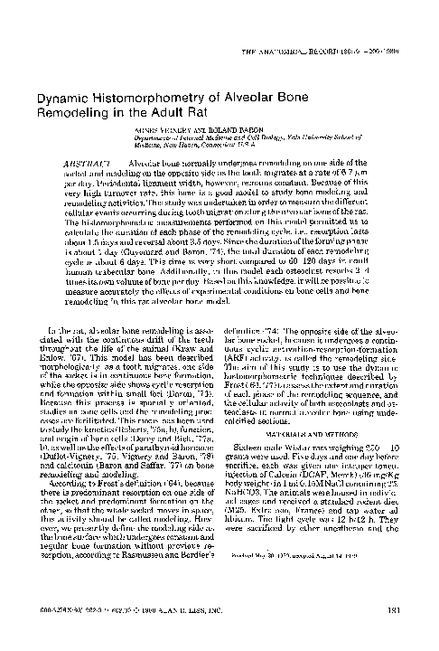 (PDF) Dynamic histomorphometry of alveolar bone remodeling in the adult rat