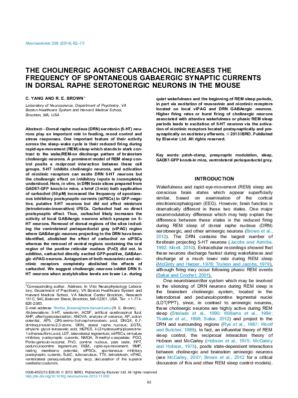 (PDF) The cholinergic agonist carbachol increases the frequency of spontaneous GABAergic ...