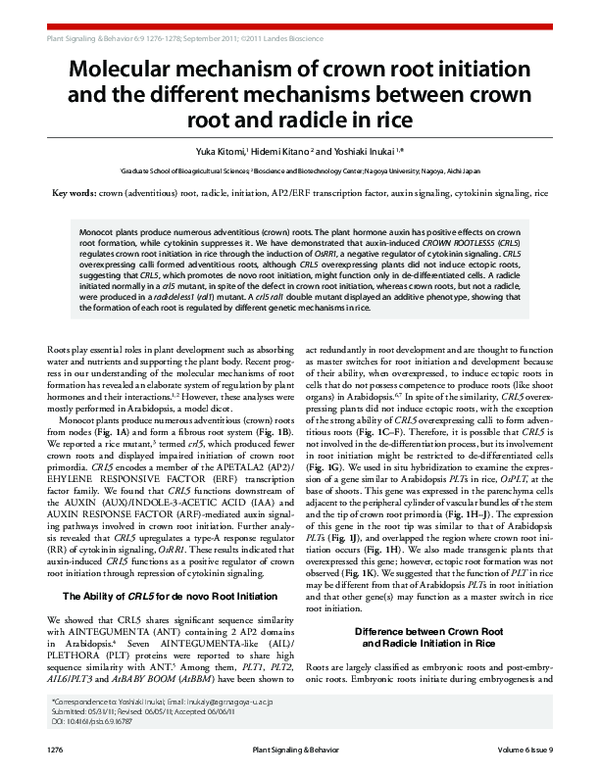 (PDF) Molecular mechanism of crown root initiation and the different ...