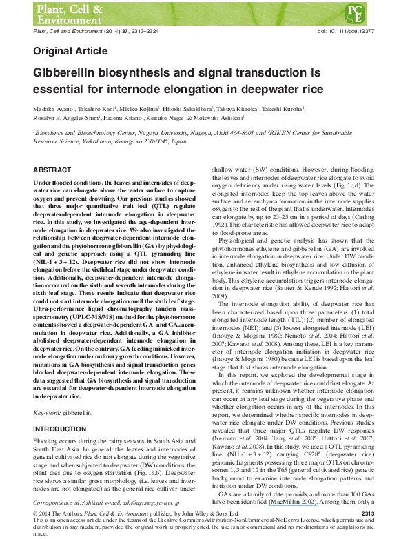(PDF) Gibberellin biosynthesis and signal transduction is essential for ...