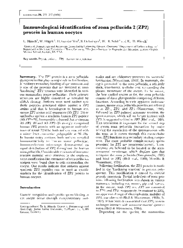(PDF) Immunological identification of zona pellucida 2 (ZP2) protein in ...