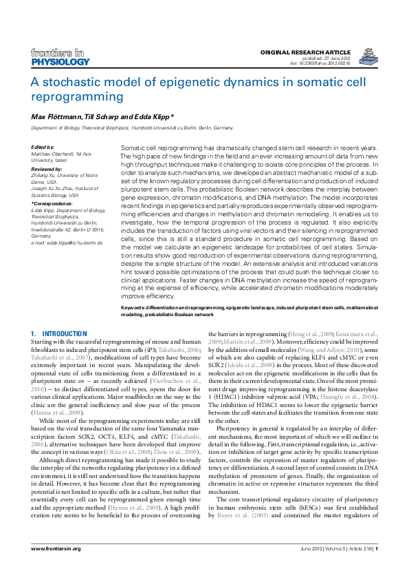 (PDF) A Stochastic Model of Epigenetic Dynamics in Somatic Cell Reprogramming