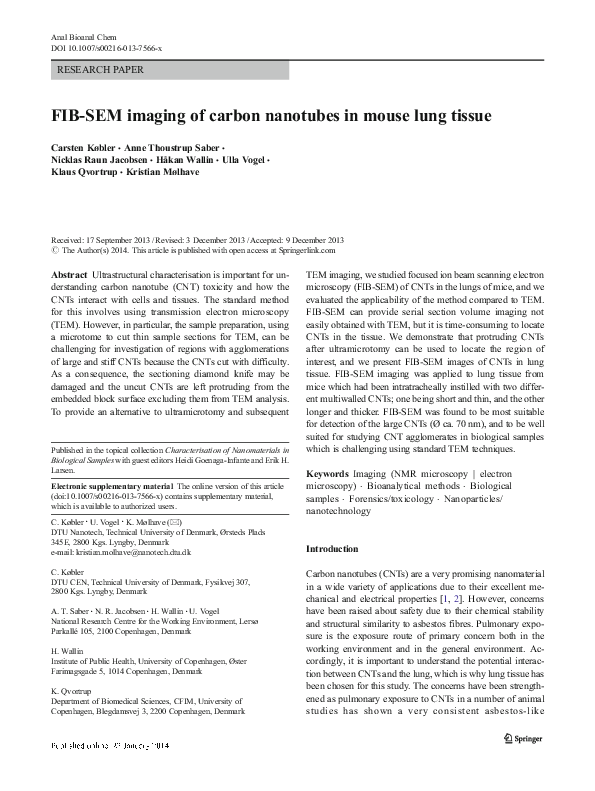 (PDF) FIB-SEM imaging of carbon nanotubes in mouse lung tissue